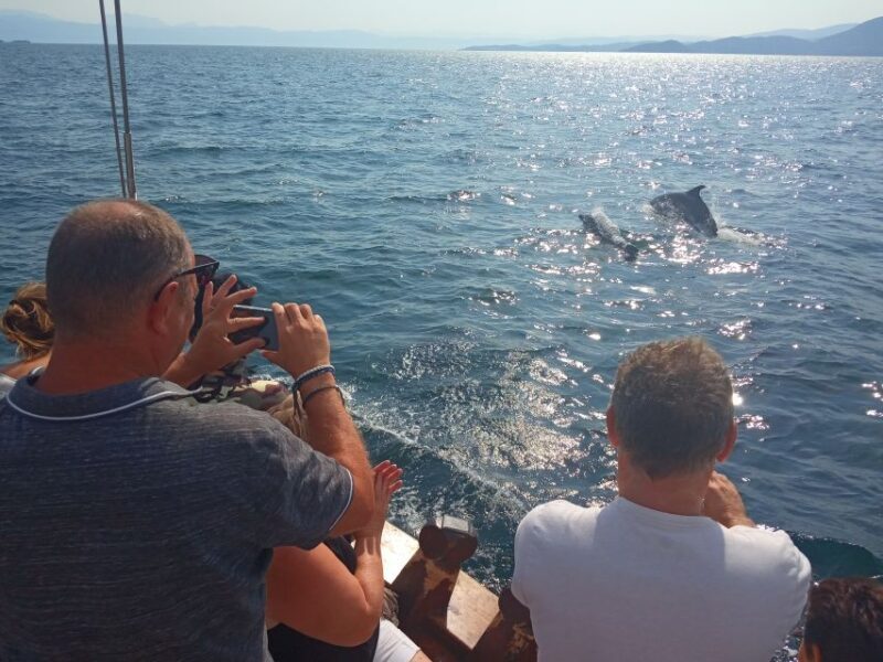 Preveza: Dolphin Watching Cruise with Lunch and Drinks - Final Thoughts: Who Should Book This?