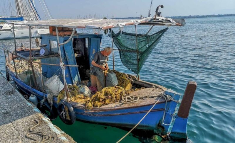 Preveza: Food, Cultural & Walking Tour - Who Should Consider This Tour?