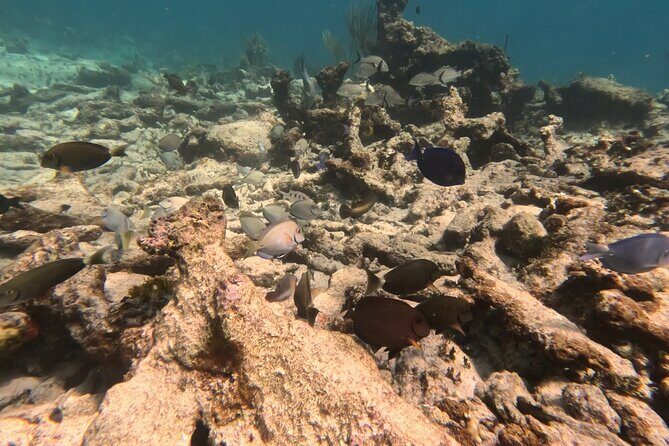 Prickly Pear Catamaran Trip from St Maarten Including Lunch - Itinerary Breakdown: What You Can Expect