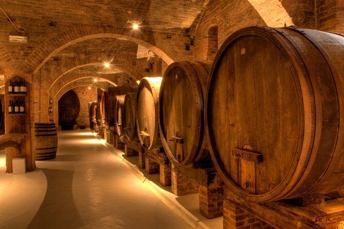 Primitivo and Negroamaro wine tour: a visit to two wineries and typical lunch. From Lecce - An Enjoyable Introduction to Salento’s Wine Region