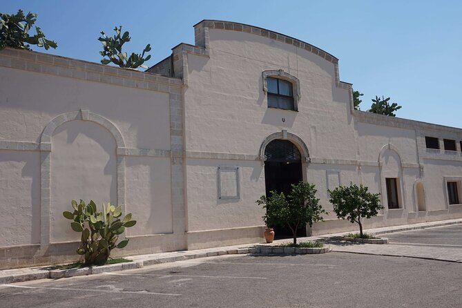 Primitivo and Negroamaro wine tour: a visit to two wineries and typical lunch. From Lecce - Detailed Breakdown of the Itinerary