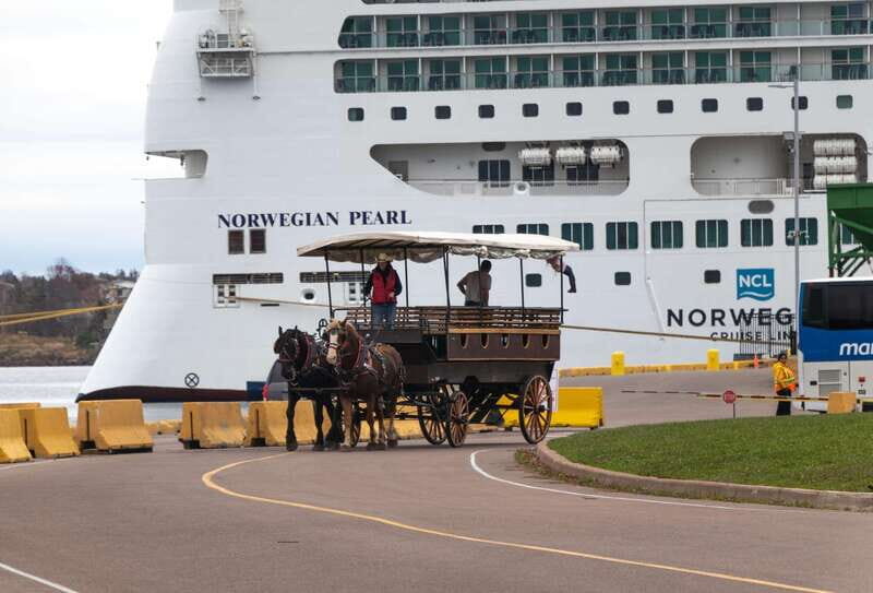 Prince Edward Island: Horse-Drawn Carriage Tour - Key Points
