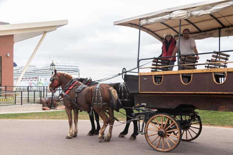 Prince Edward Island: Horse-Drawn Carriage Tour - The Sum Up