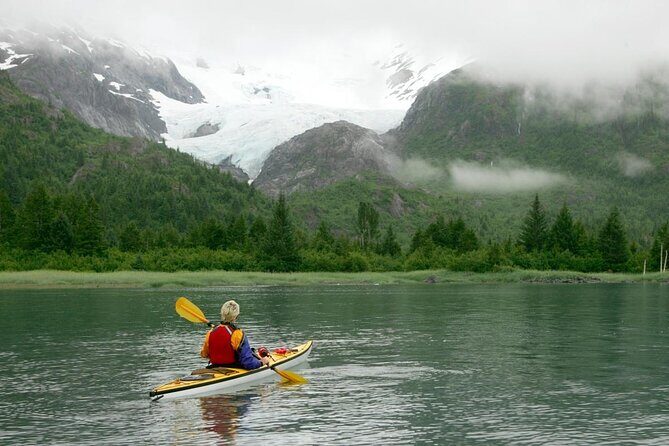 Prince William Sound Tour with Glacier Landing from Girdwood - An In-Depth Look at the Tour Experience
