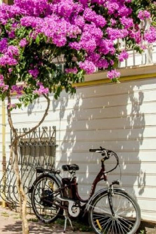 Prince's Island Group Tour - Authentic Experiences You Can Expect