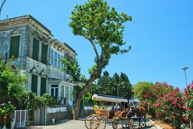 Princes' Islands Tour from Istanbul - Transportation & Group Dynamics