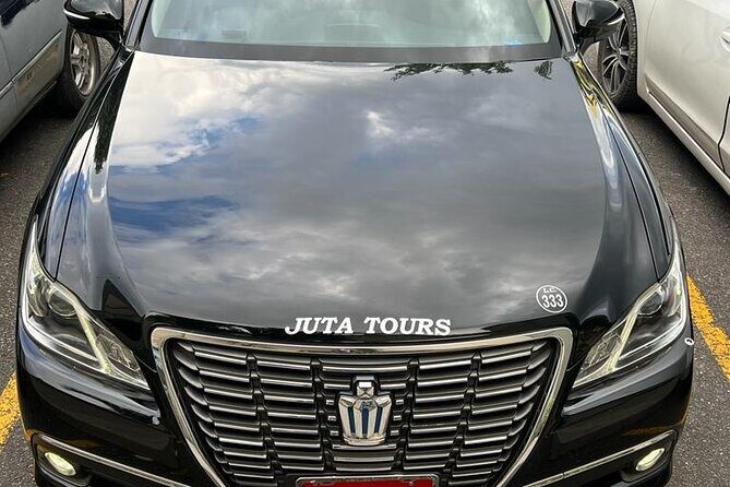 Princess Grand Jamaica Private Transport Experience - Who Will Love This Service?