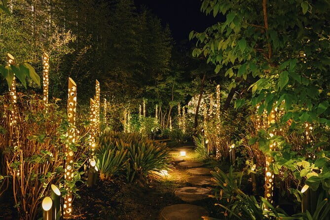 Princess Kaguya's Glowing Garden Pass in Sakuramachi Kumamoto - Key Points