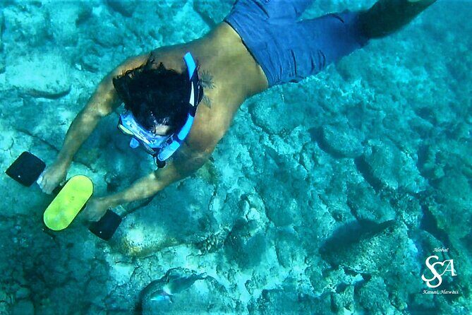 Princeville - Snorkeling Shore Excursion - What to Expect: A Detailed Look
