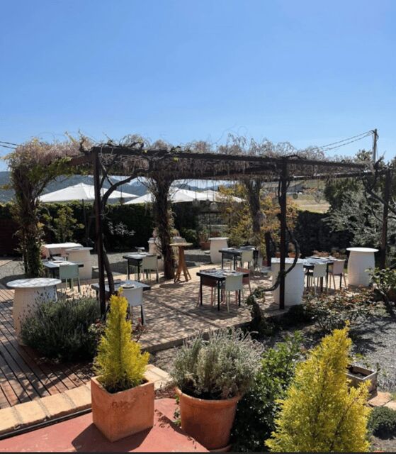 Priorat tour to 3 small wineries and hotel pick-up - Exploring the Best of Priorat: A Small-Group Wine Tour from Barcelona