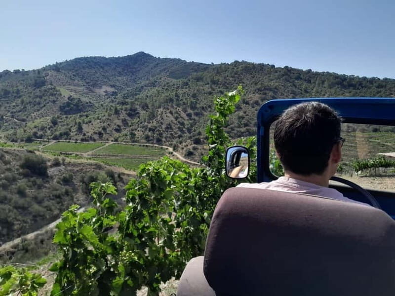 Priorat tour to 3 small wineries and hotel pick-up - Why You’ll Love This Tour