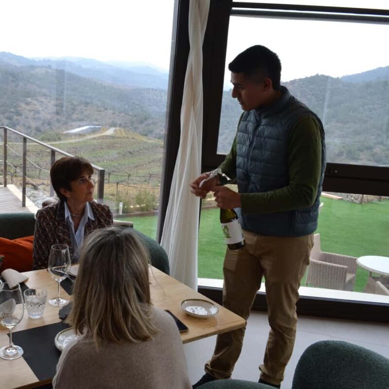 Priorat: wine tour in Gratallops of the best natural wines - Who Will Love This Experience?