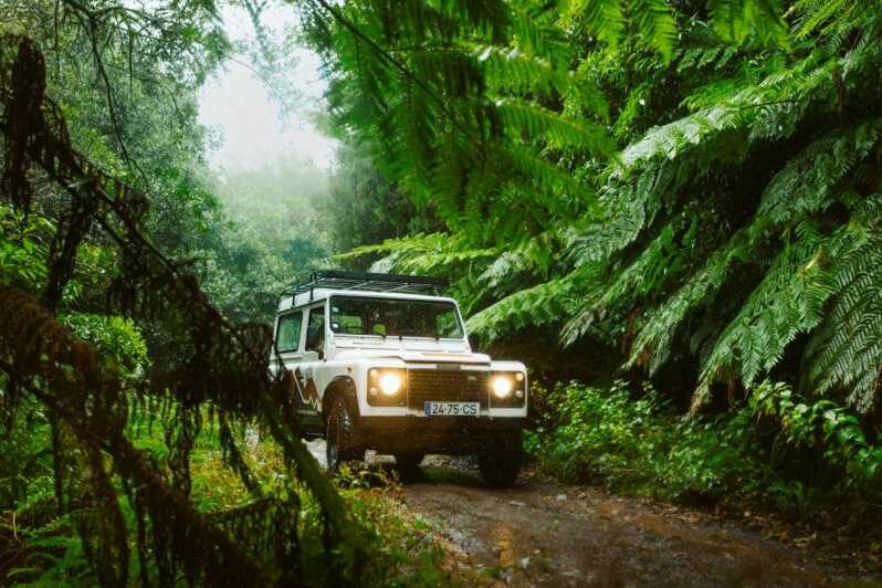 Priv. East: 4x4 Tour|Pico do Areeiro|Santana Typical Houses| - A Deep Dive into the Experience