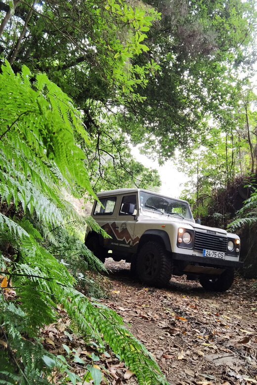 Priv. West: 4x4 Tour|Seixal Beach|Porto Moniz Natural Pools| - Who Should Consider This Tour?