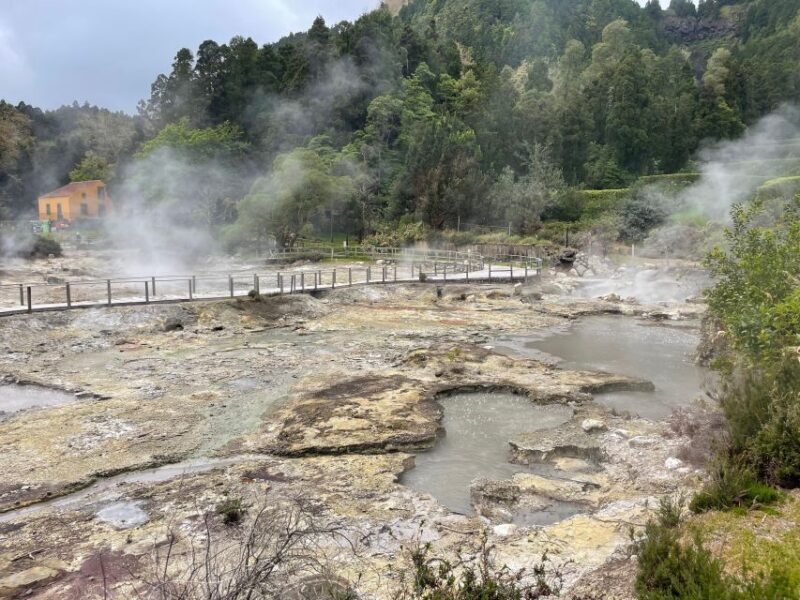 Privat van tour Furnas valley, Gorreana tea  islands gems - Exploring São Miguel: An In-Depth Look at the Tour