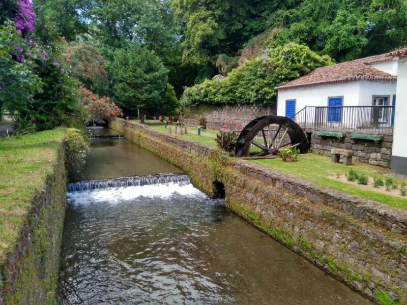 Privat van tour Furnas valley, Gorreana tea  islands gems - Final Thoughts: Who Should Consider This Tour?