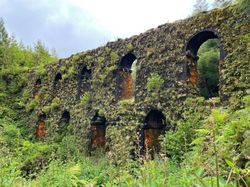 Privat van tour Sete Cidades, Lagoa do Fogo  volcanic lakes - In The Sum Up