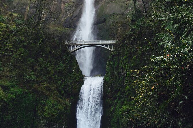 Private - 1/2 day Columbia River Gorge & Waterfalls Tour From Portland - The Sum Up