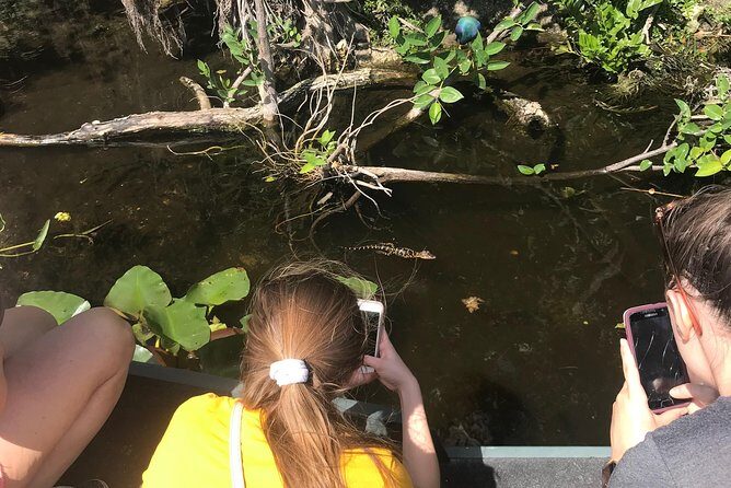 Private 1.5-Hour Airboat Tour of Miami Everglades - The Itinerary in Detail
