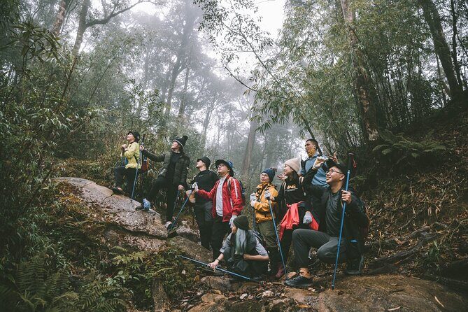 Private 1 Day Fansipan Conquering And Trekking - What Travelers Say