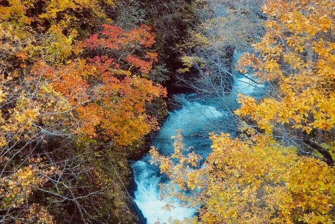 Private 1 Day Hokkaido Tour from Sapporo Customizable Itinerary - An In-Depth Look at the Itinerary and Experience