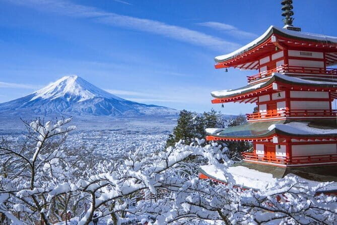 Private 1 Day Round Trip Tour from Tokyo to Mount Fuji - Introduction: Your Personal Journey to Mount Fuji