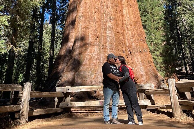 Private 1-Day Sequoia and Kings Canyon Park Tour from Los Angeles - The practical side of the tour
