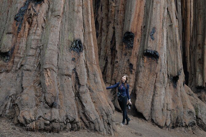 Private 1-Day Sequoia and Kings Canyon Park Tour from Los Angeles - FAQs