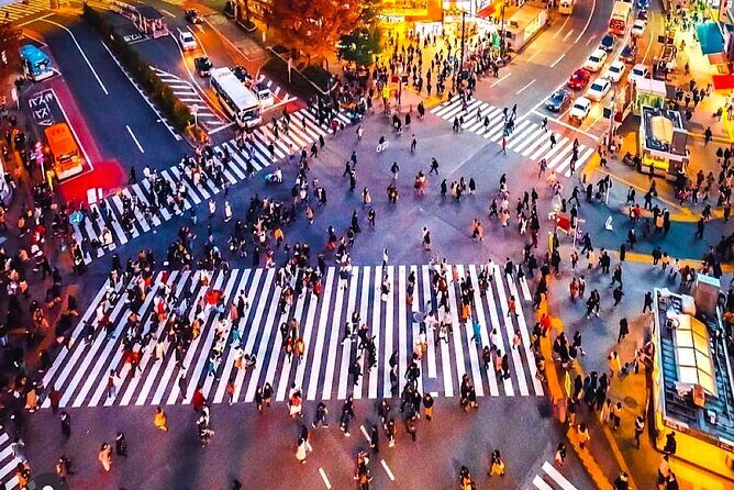 Private 1-Day Tokyo city tour with English speaking Driver - The Details That Make a Difference