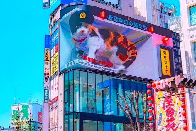 Private 1-Day Tokyo city tour with English speaking Driver - The Sum Up