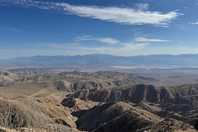 Private 1 Day Tour to Joshua Tree National Park - Final Words: Is This Tour Right for You?