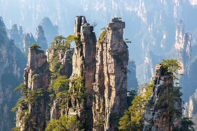 Private 1 Day Tour Zhangjiajie National Forest Park - Key Points