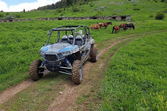 Private 1-Hour Quad or Buggy Safari in Borovets - FAQ: Your Practical Questions Answered