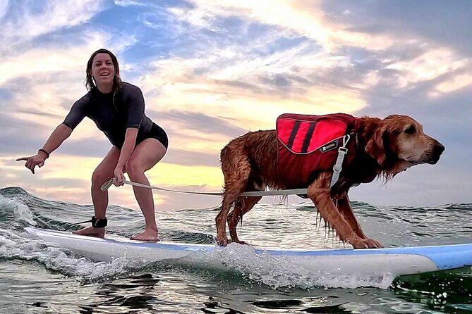 Private 1-on-1 Surf Lesson with Videos and Photos - Authentic Experiences from Real Travelers