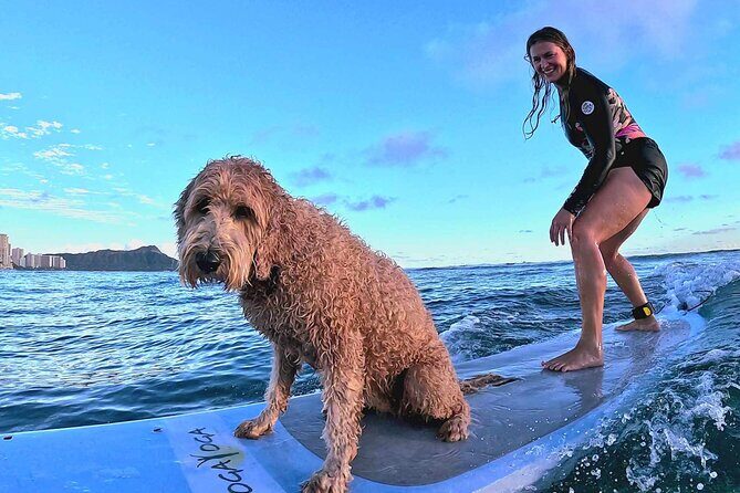 Private 1-on-1 Surf Lesson with Videos and Photos - Who Will Love This Experience?