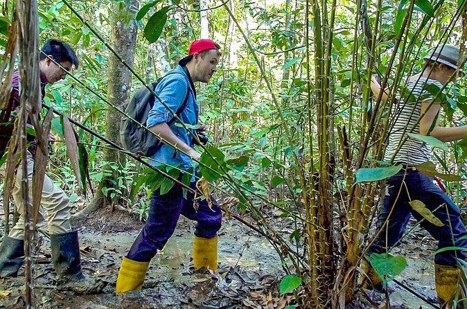 Private 10 Days Malaysia Borneo Wildlife Tour with Beach - Final Thoughts