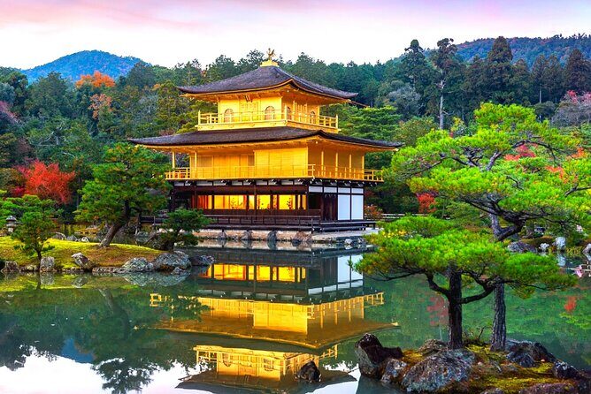 Private 10-hour chartered car service for Kyoto and Nara in Japan - A Closer Look at the Experience