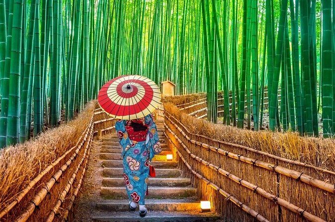 Private 10-hour chartered car service for Kyoto and Nara in Japan - FAQs