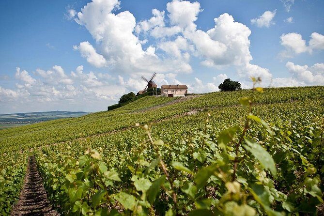 Private 10-hour round transfer to Champagne Epernay from Paris. Best offer! - What Travelers Can Expect from the Experience