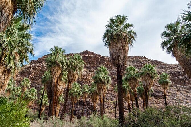 Private 10-hour tour to Palm Springs from Los Angeles - Hotel pick up - The Journey Begins: Convenience and Comfort from Los Angeles
