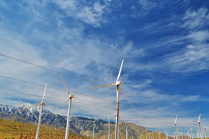 Private 10-hour tour to Palm Springs from Los Angeles - Hotel pick up - Exploring Palm Springs: A Retail of History and Modernity