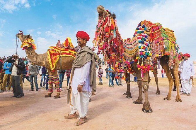 Private 11 Days India Cultural Rajasthan Tour - An In-Depth Review of the Rajasthan Private Tour