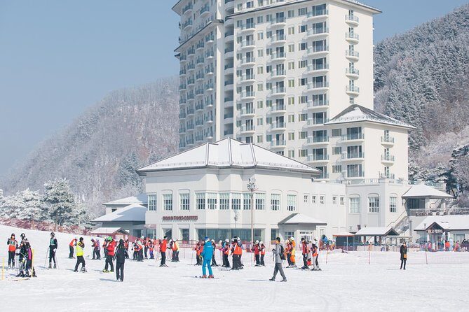 Private 1:1 Ski Lesson near Seoul, South Korea - Experience Overview: What You Can Expect