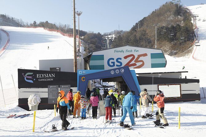 Private 1:1 Ski Lesson near Seoul, South Korea - Authentic Feedback from Travelers