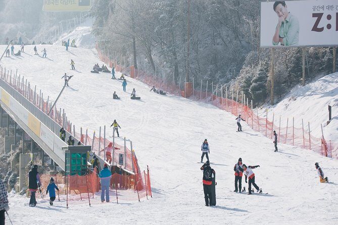 Private 1:1 Ski Lesson near Seoul, South Korea - FAQ