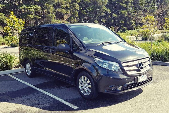 Private 12 Apostles or Melbourne Tour - Shore Excursion - Practical Tips for Future Travelers