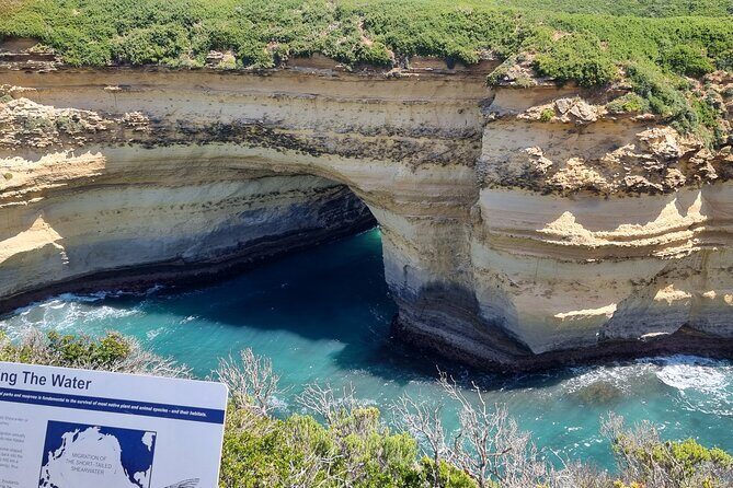 Private 12 Apostles or Melbourne Tour - Shore Excursion - Frequently Asked Questions