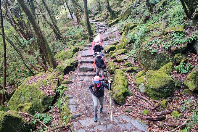 Private 12-Day All Inclusive Guided Annapurna Base Camp Trek Tour - Accommodation and Meals: Comfort on the Trail