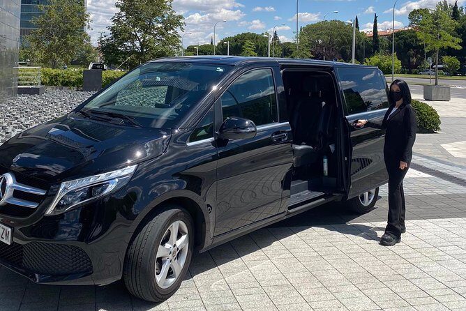 Private 12-Hour Tour to Sevilla from Malaga with Hotel pick up - The Comfort and Convenience Factor