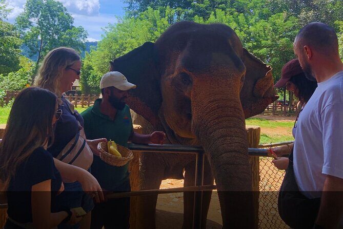 Private 14 Day All Inclusive Sri Lanka Island Tour from Airport - FAQ